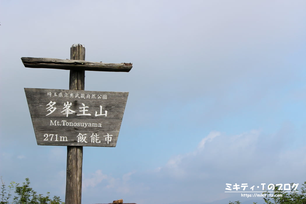 天覧山・多峯主山へハイキング｜ミキティ・Tのブログ